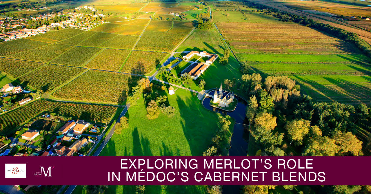 Médoc | go.sevenfifty.com